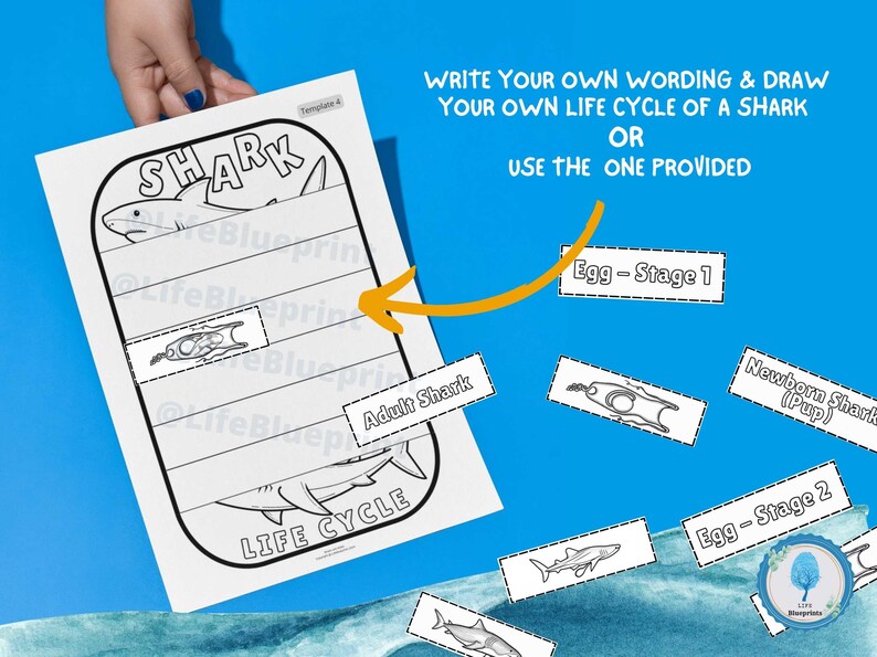Life Cycle of a Shark Science Activity for Kids | Foldable Craft ...