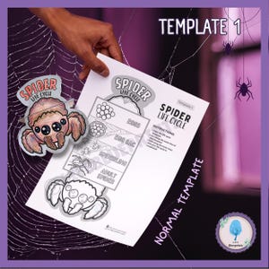 Life Cycle of a Spider Science Activity for Kids | Foldable Craft ...