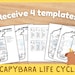 Capybara Life Cycle Learning Activity for Kids | A4 and 11x8.5 Inch ...