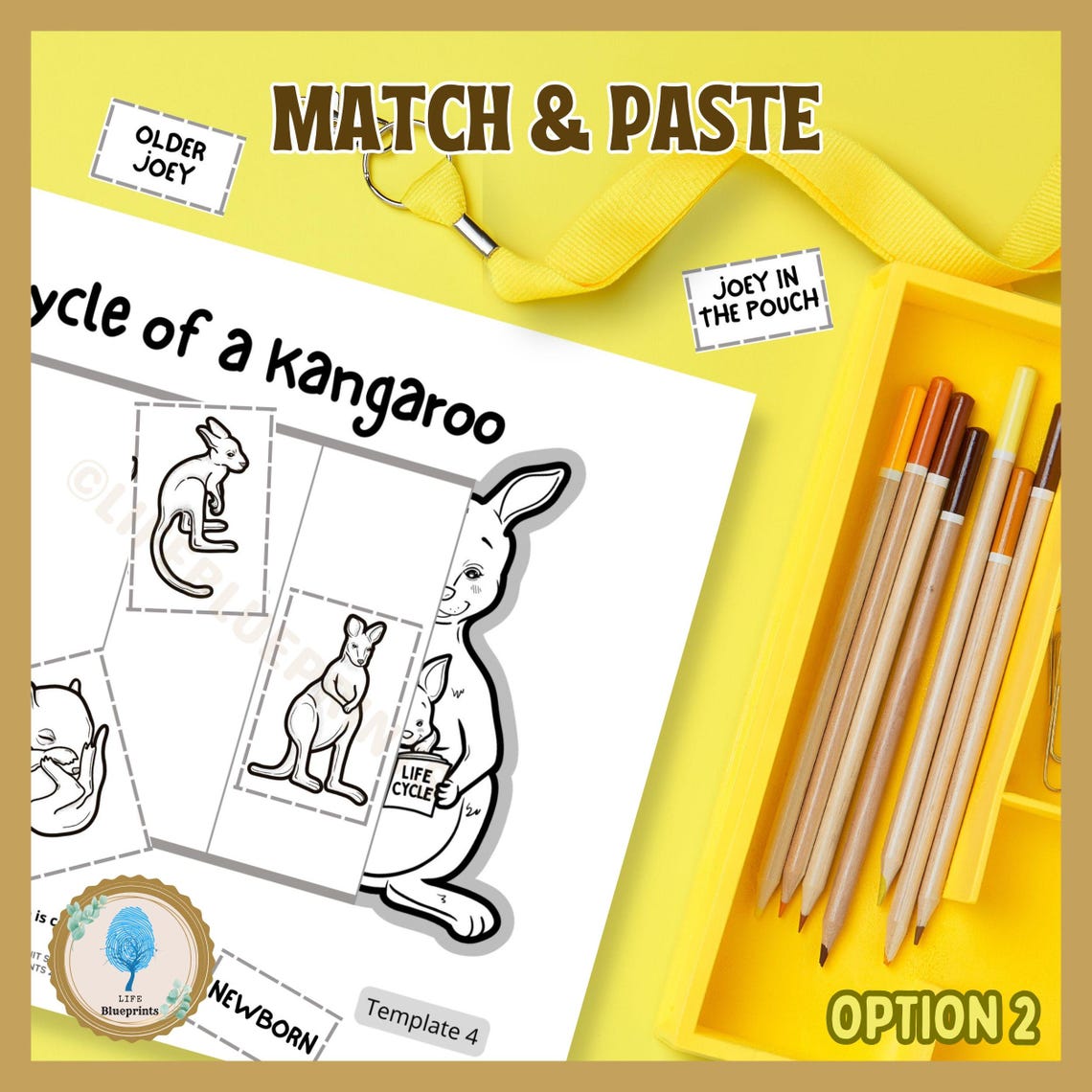 Kangaroo Life Cycle Activity for Kids | Foldable Craft | Australian ...
