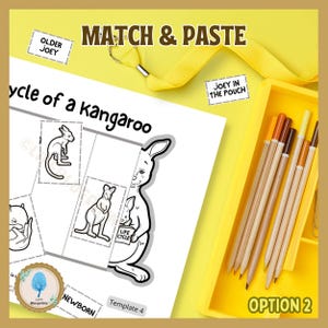 Kangaroo Life Cycle Activity for Kids | Foldable Craft | Australian ...