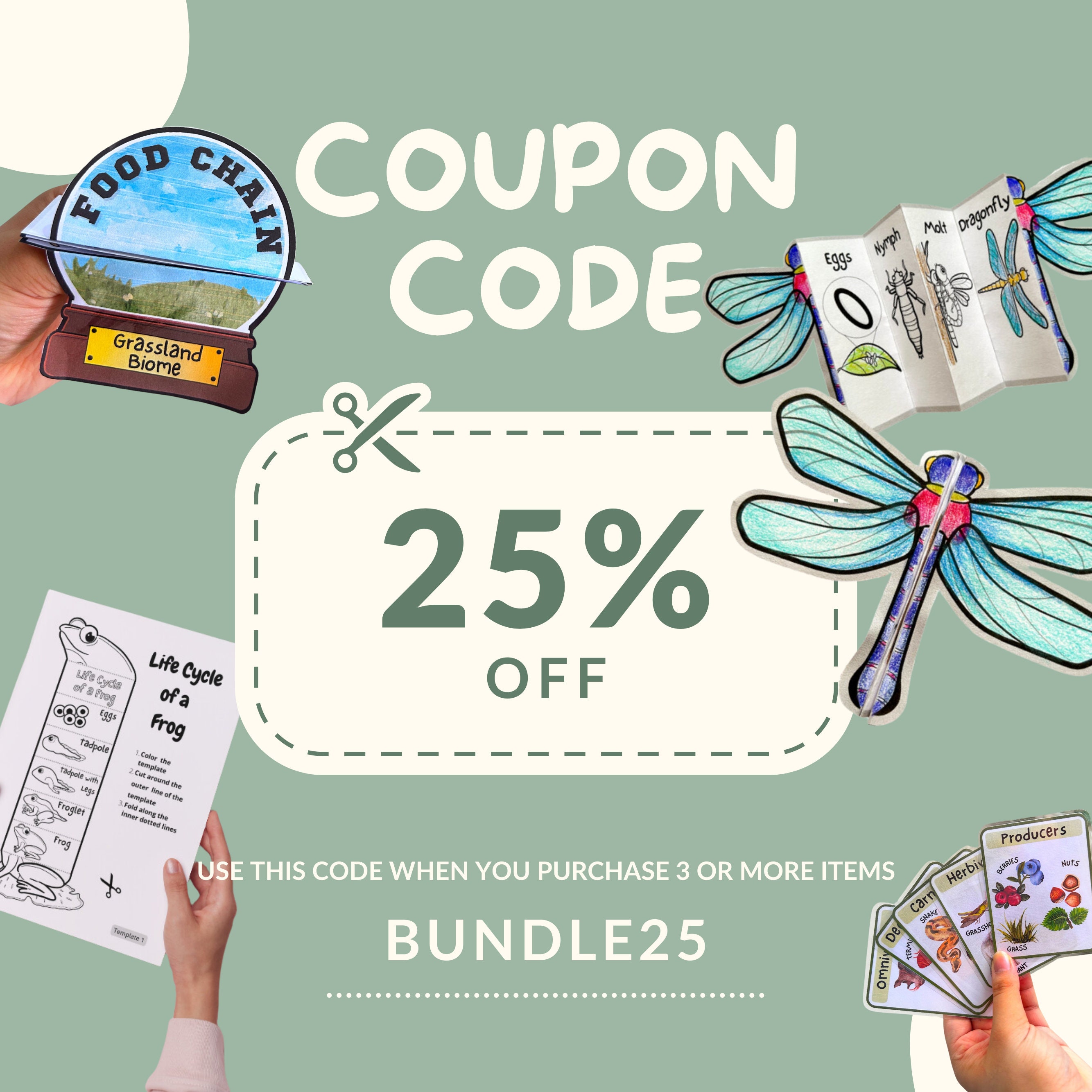 Grassland Food Chains Unit Study Snow Globe Food Web Printable A4 ...