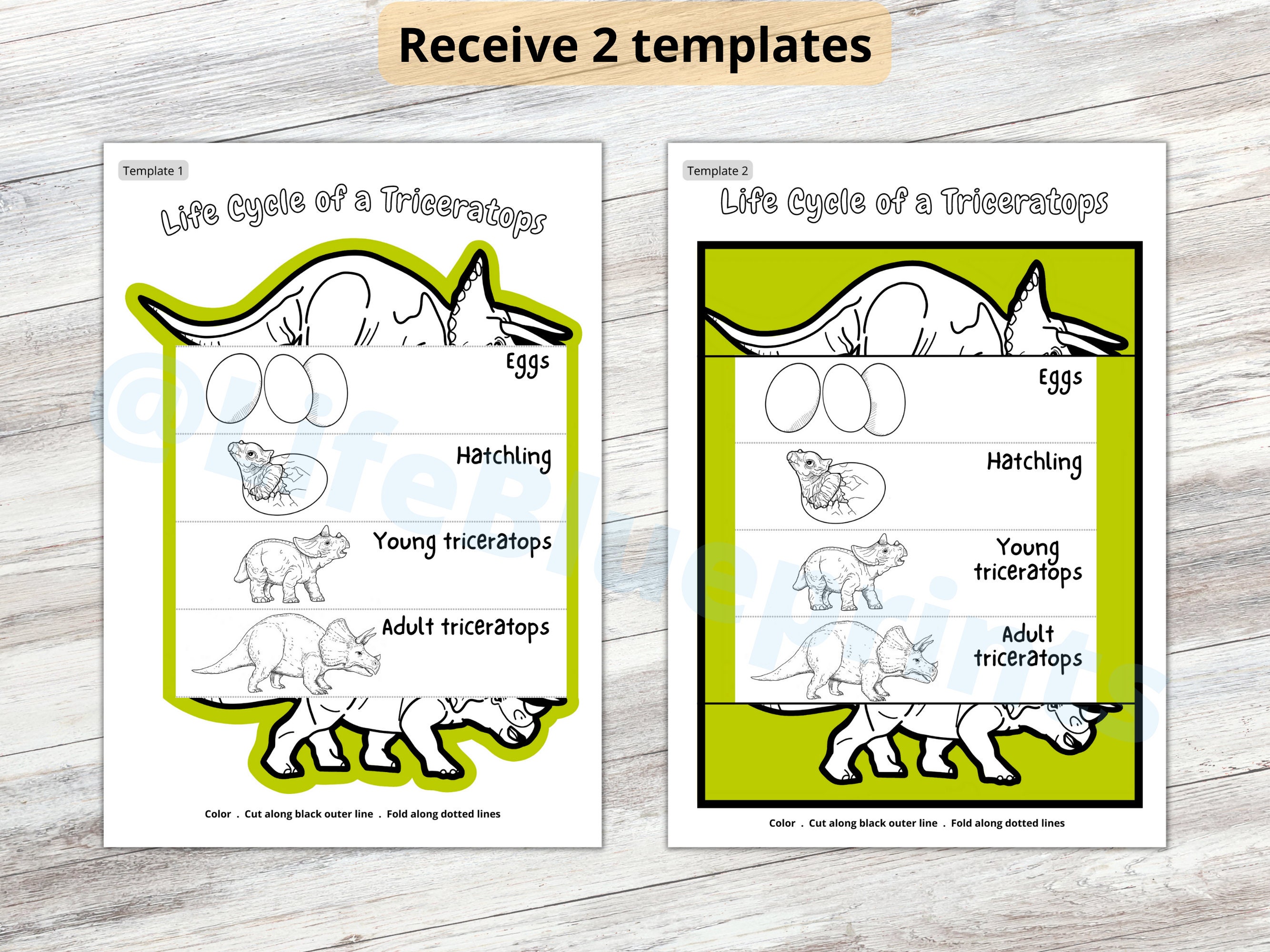 Triceratops Dinosaur Life Cycle Learning Activity for Kids - Etsy