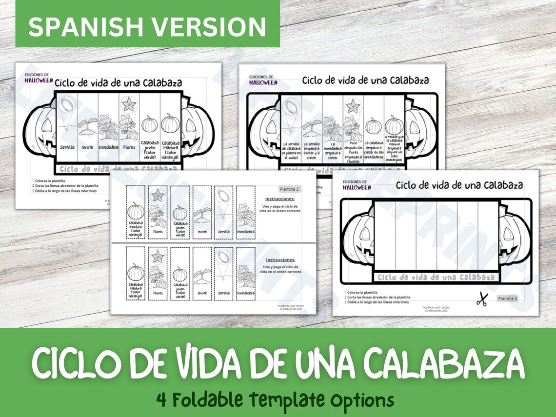 SPANISH Life Cycle of a Pumpkin Plant Foldable Life Cycle Craft Digital ...