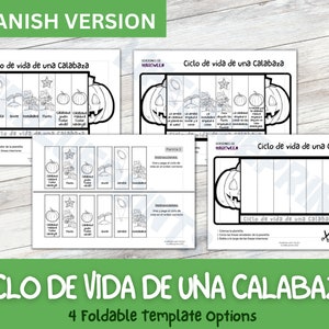 SPANISH Life Cycle of a Pumpkin Plant | Foldable Life Cycle Craft ...