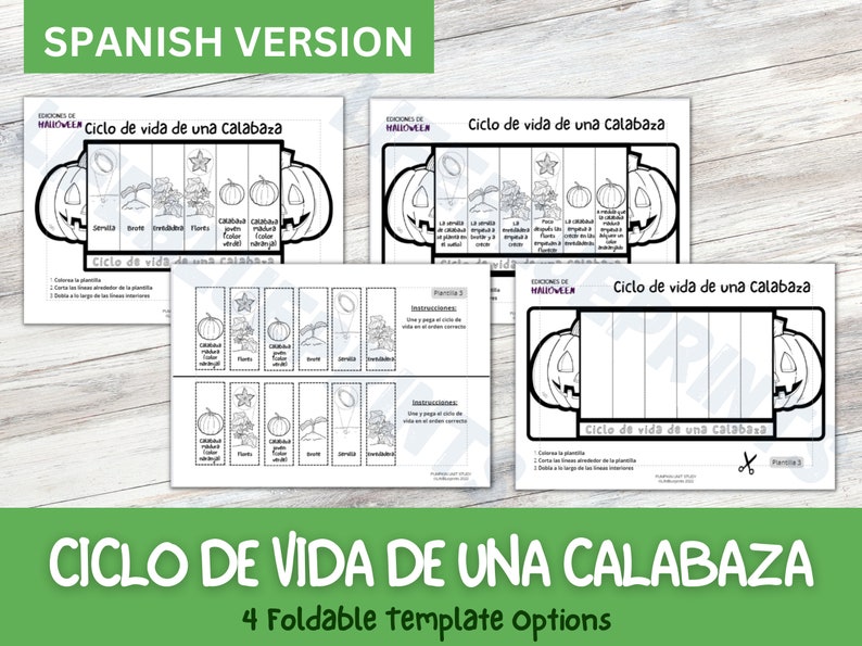 SPANISH Life Cycle of a Pumpkin Plant | Foldable Life Cycle Craft ...