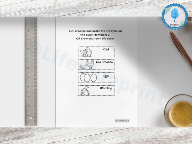 Foldable Chicken Life Cycle Learning Activity for Kids | A4 and 11x8.5 ...