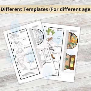 Desert Food Chains Foldable Kids' Craft | Snow Globe | Food Web ...