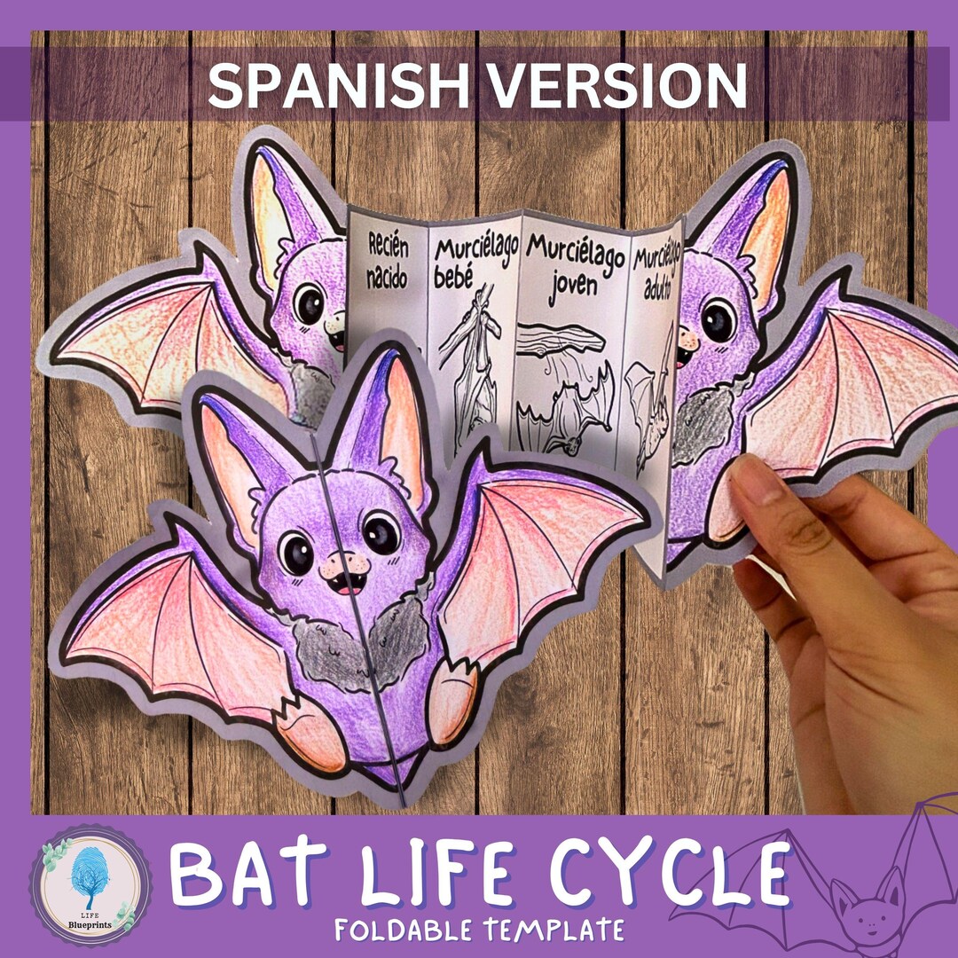 SPANISH Life Cycle of a Bat Science Activity for Kids | Foldable Craft ...