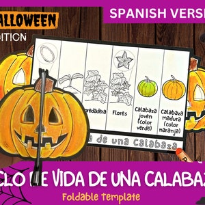 SPANISH Life Cycle of Plants & Fungi Bundle of 6 | Mushroom, Fruits ...