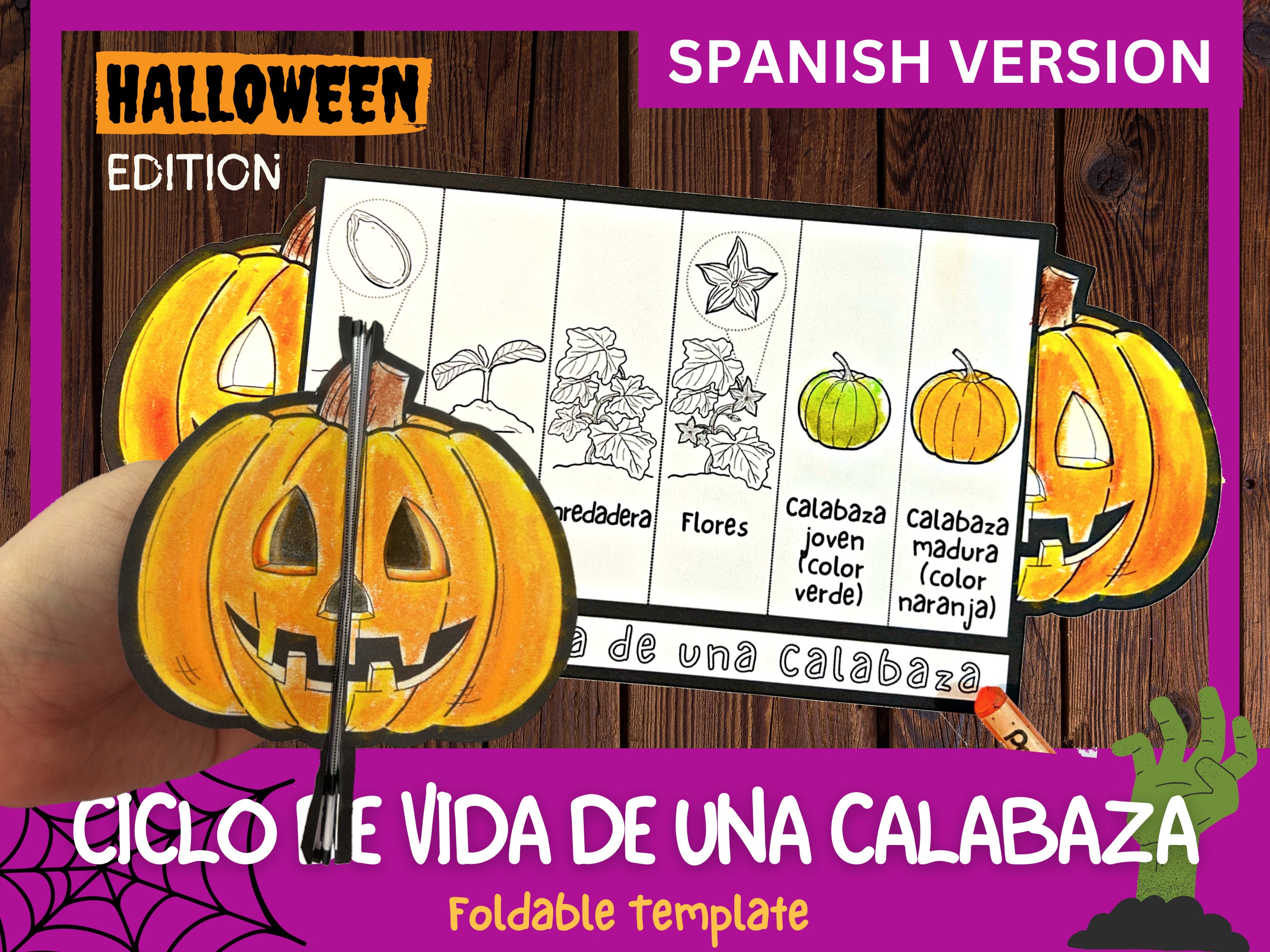 SPANISH Life Cycle of Plants & Fungi Bundle of 6 Mushroom, Fruits ...