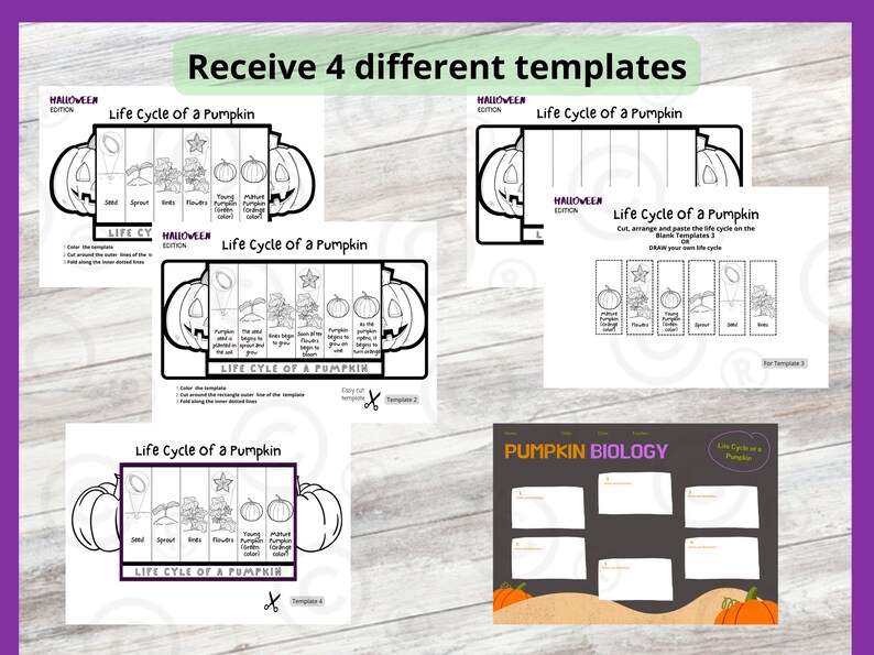 Foldable Pumpkin Life Cycle Learning Activity for Kids - Etsy Singapore