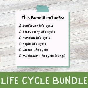 SPANISH Life Cycle of Plants & Fungi Bundle of 6 | Mushroom, Fruits ...