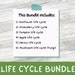 SPANISH Life Cycle of Plants & Fungi Bundle of 6 Mushroom, Fruits ...