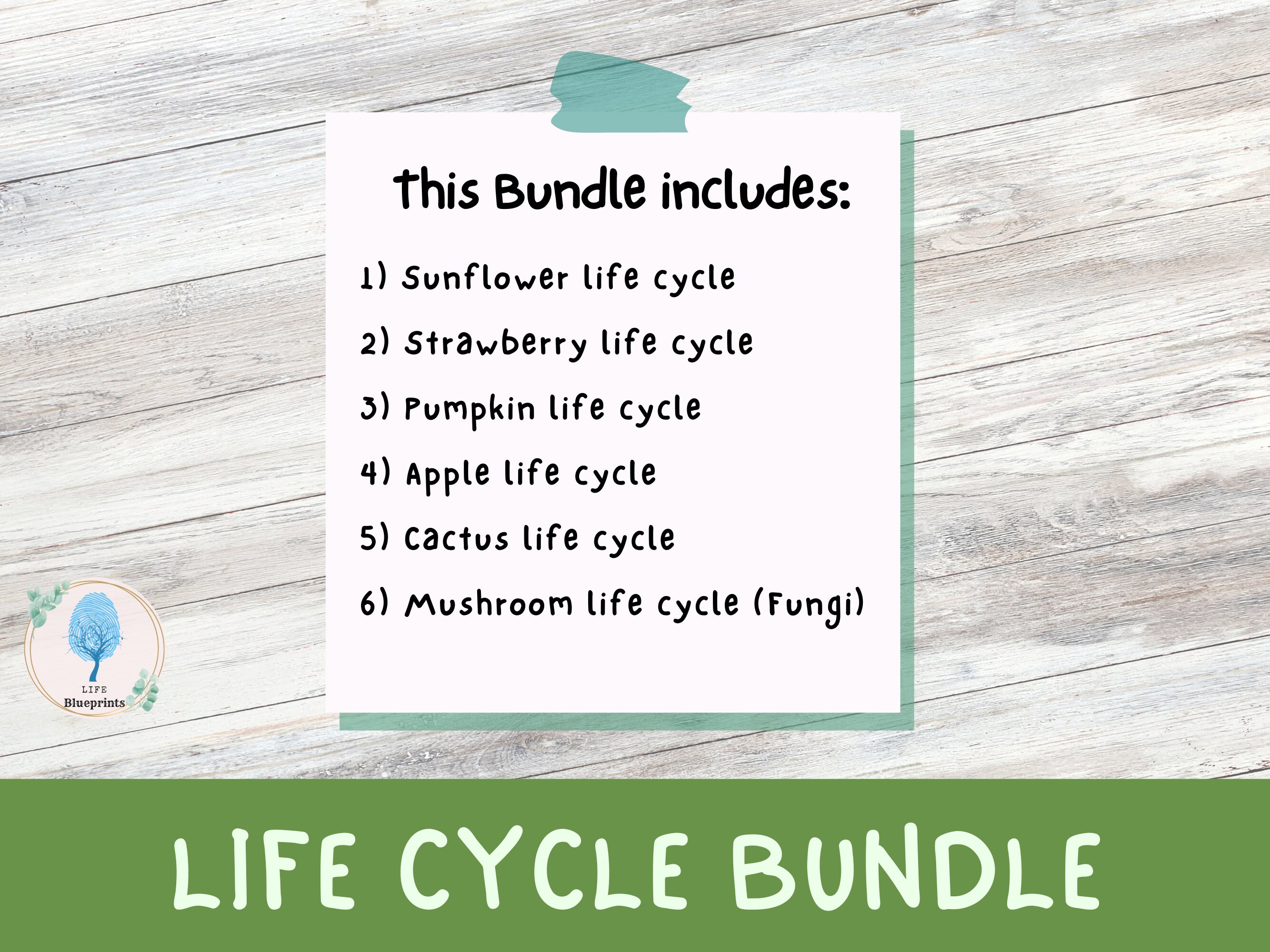 SPANISH Life Cycle of Plants & Fungi Bundle of 6 Mushroom, Fruits ...