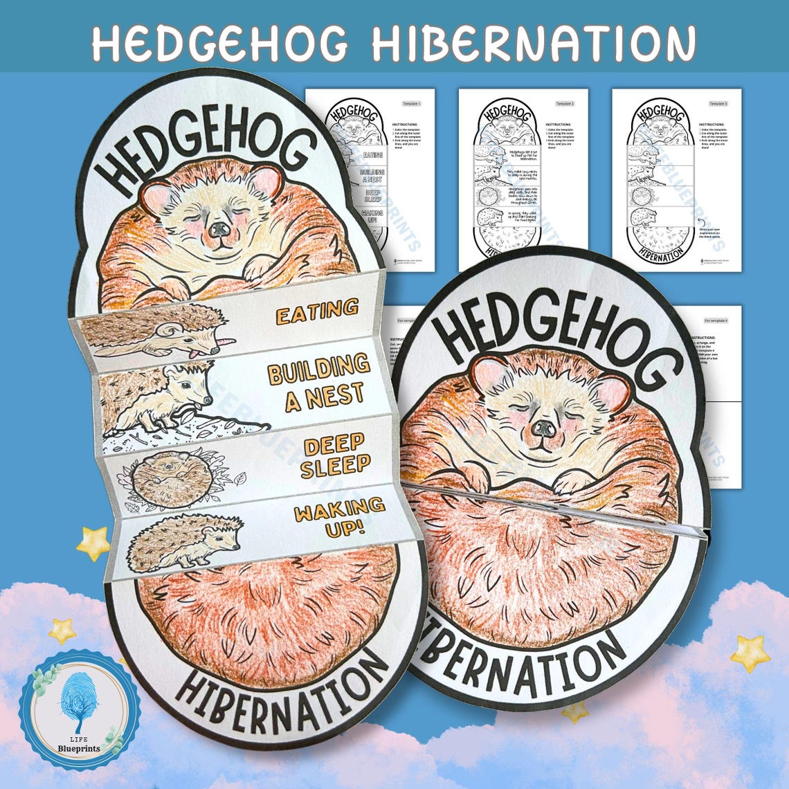 Hibernation & Brumation Craft Bundle – Fun, Interactive Winter Science ...