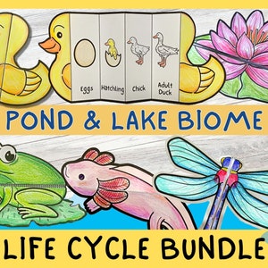 POND BIOME Life Cycle Bundle of 7 Templates Discounts With Bundle ...
