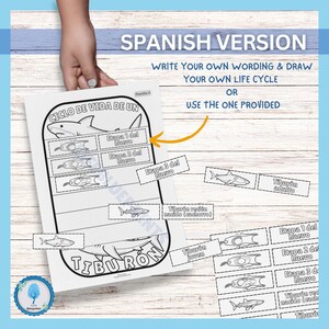 SPANISH Life Cycle of a Shark Science Activity for Kids | Foldable ...