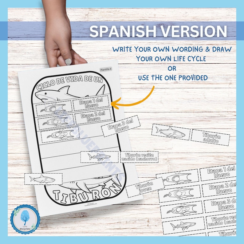 SPANISH Life Cycle of a Shark Science Activity for Kids Foldable Craft ...