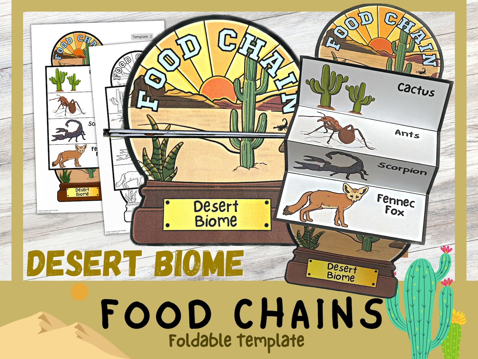 Desert Food Chains Foldable Kids' Craft | Snow Globe | Food Web ...