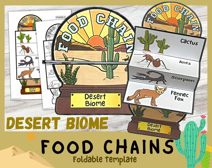 Desert Food Chains Foldable Kids' Craft | Snow Globe | Food Web ...