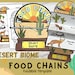 Desert Food Chains Foldable Kids' Craft Snow Globe Food Web Printable ...