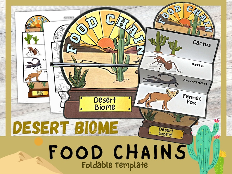 Desert Food Chains Foldable Kids' Craft | Snow Globe | Food Web ...