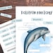 Dolphin Anatomy Poster for Kids, Nature Study, Science, Montessori ...