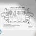 Foldable Bee Life Cycle Learning Activity for Kids | A4 and 11x8.5 Inch ...
