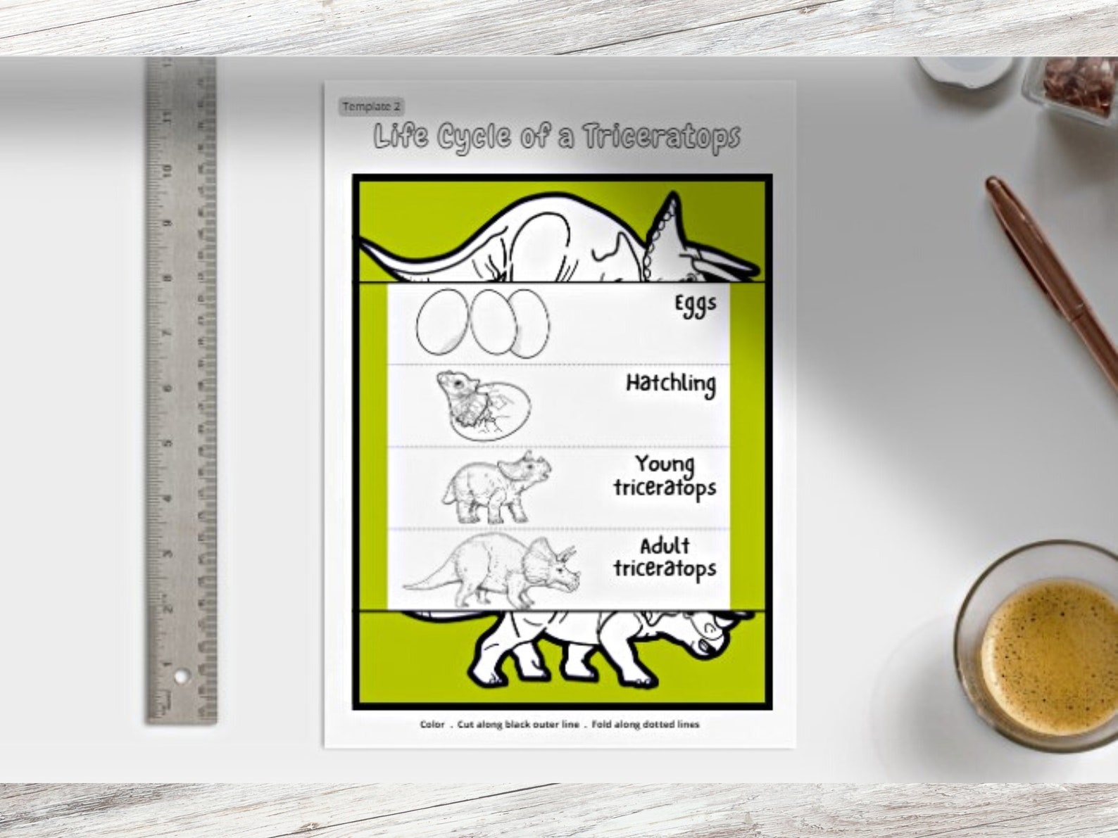 Triceratops Dinosaur Life Cycle Learning Activity for Kids - Etsy