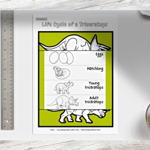 Triceratops Dinosaur Life Cycle Learning Activity for Kids - Etsy