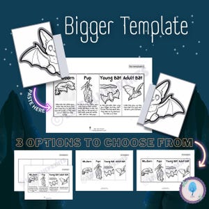 Life Cycle of a Bat Science Activity for Kids | Foldable Craft | Bat ...