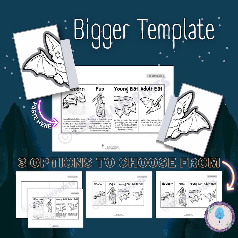 Life Cycle of a Bat Science Activity for Kids | Foldable Craft | Bat ...