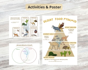 Desert Ecosystem Food Pyramid