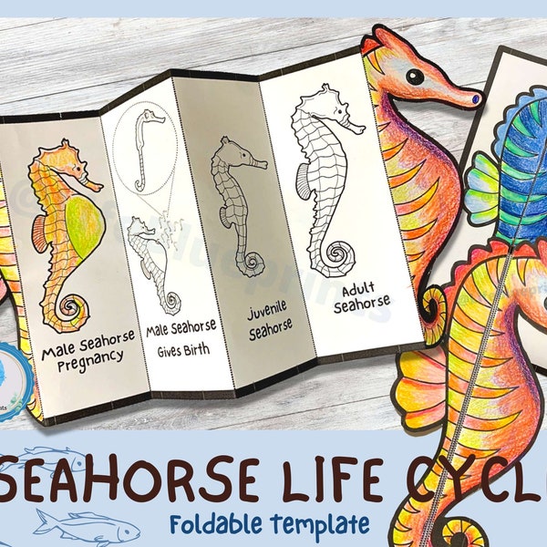 Seahorse Art - Etsy