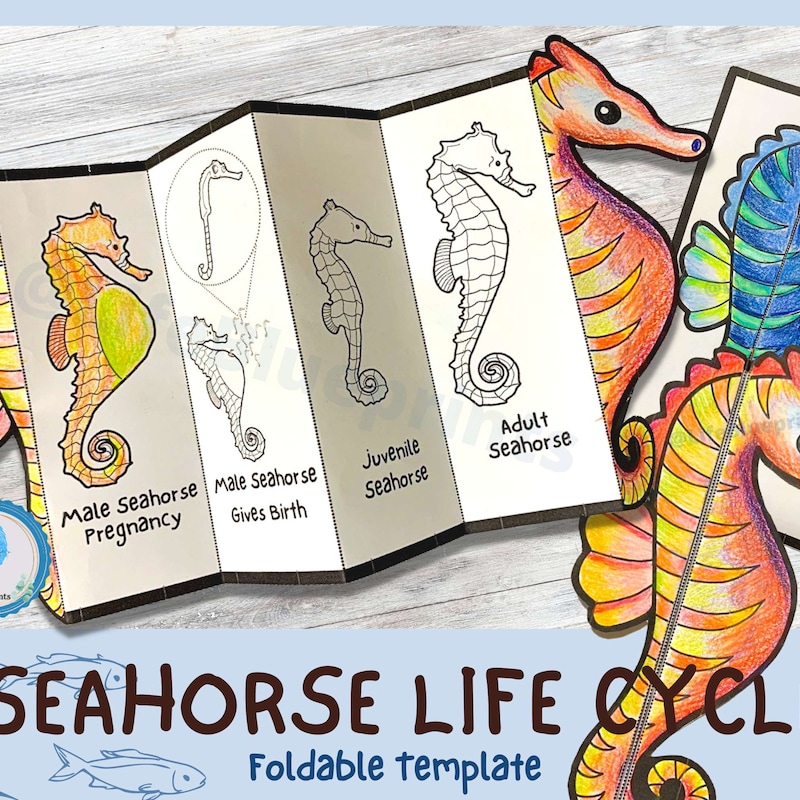 Seahorse Art - Etsy