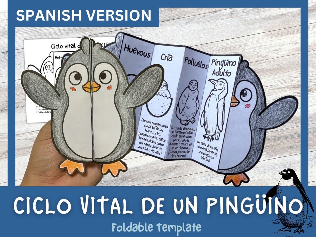 SPANISH Life Cycle of Penguin| Foldable Life Cycle Craft | Digital ...
