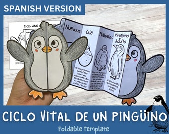 Foldable Penguin Life Cycle Learning Activity for Kids A4 - Etsy UK