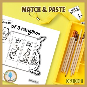 Kangaroo Life Cycle Activity for Kids | Foldable Craft | Australian ...