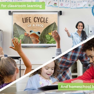 Frog Life Cycle Unit Study | Poster, Flashcards, Lesson Plan | Nature ...