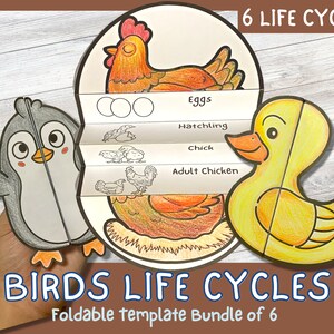 Bird Life Cycle Bundle of 6 Templates | Duck, Chicken, Penguin, Parrot ...