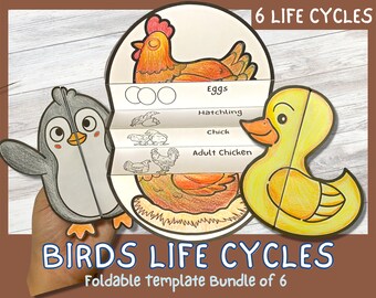 Foldable Penguin Life Cycle Learning Activity for Kids A4 - Etsy UK