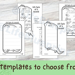 Axolotl Life Cycle Foldable Amphibian Life Cycle Learning Activity for ...