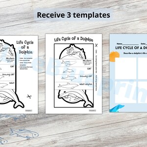 Foldable Dolphin Life Cycle Learning Activity for Kids A4 and 11x8.5 ...