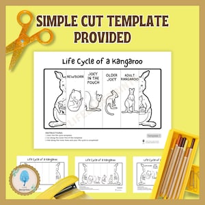 Kangaroo Life Cycle Activity for Kids | Foldable Craft | Australian ...
