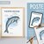 Dolphin Anatomy Poster for Kids, Nature Study, Science, Montessori ...