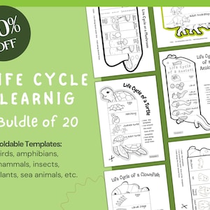 Foldable Life Cycle Bundle of 20 Templates Discounts With Bundle ...