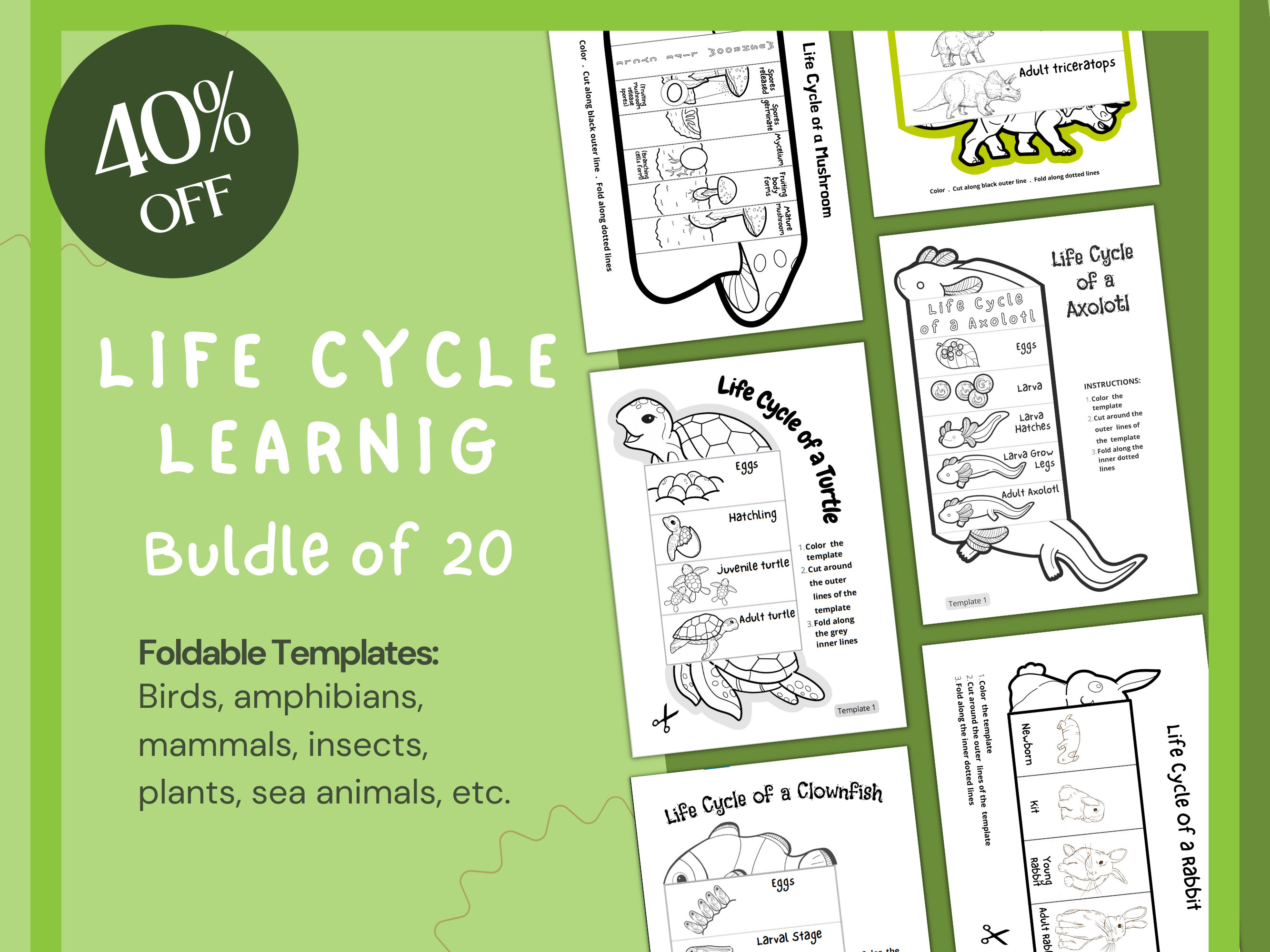 Foldable Life Cycle Bundle of 20 Templates Discounts With - Etsy