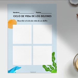 SPANISH Dolphin Life Cycle Learning Activity for Kids | A4 and 11x8.5 ...