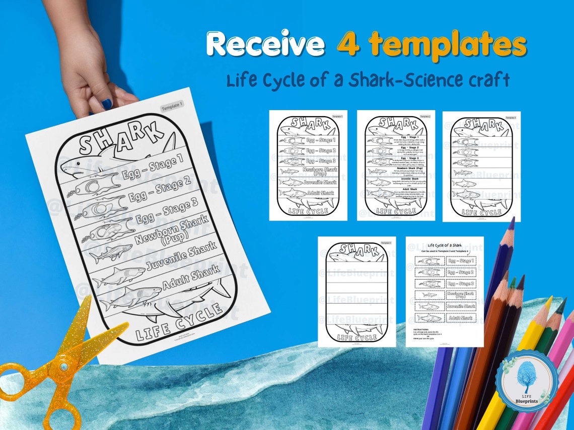 Life Cycle of a Shark Science Activity for Kids Foldable Craft Ocean ...